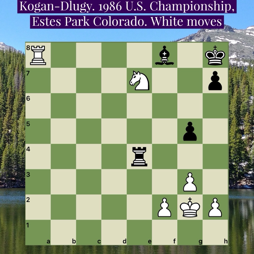 Diamond Dust – The Chaturanga Chess Club